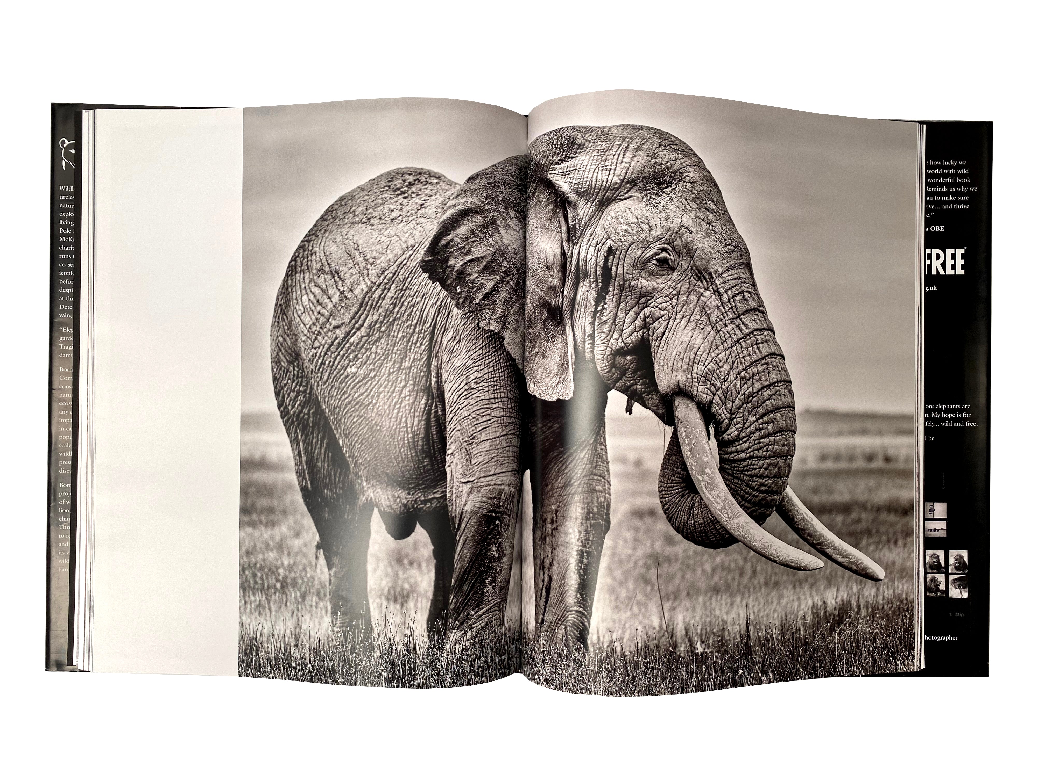 Saving Elephants Luxury Coffee Table Book, makes the perfect gift. And ...