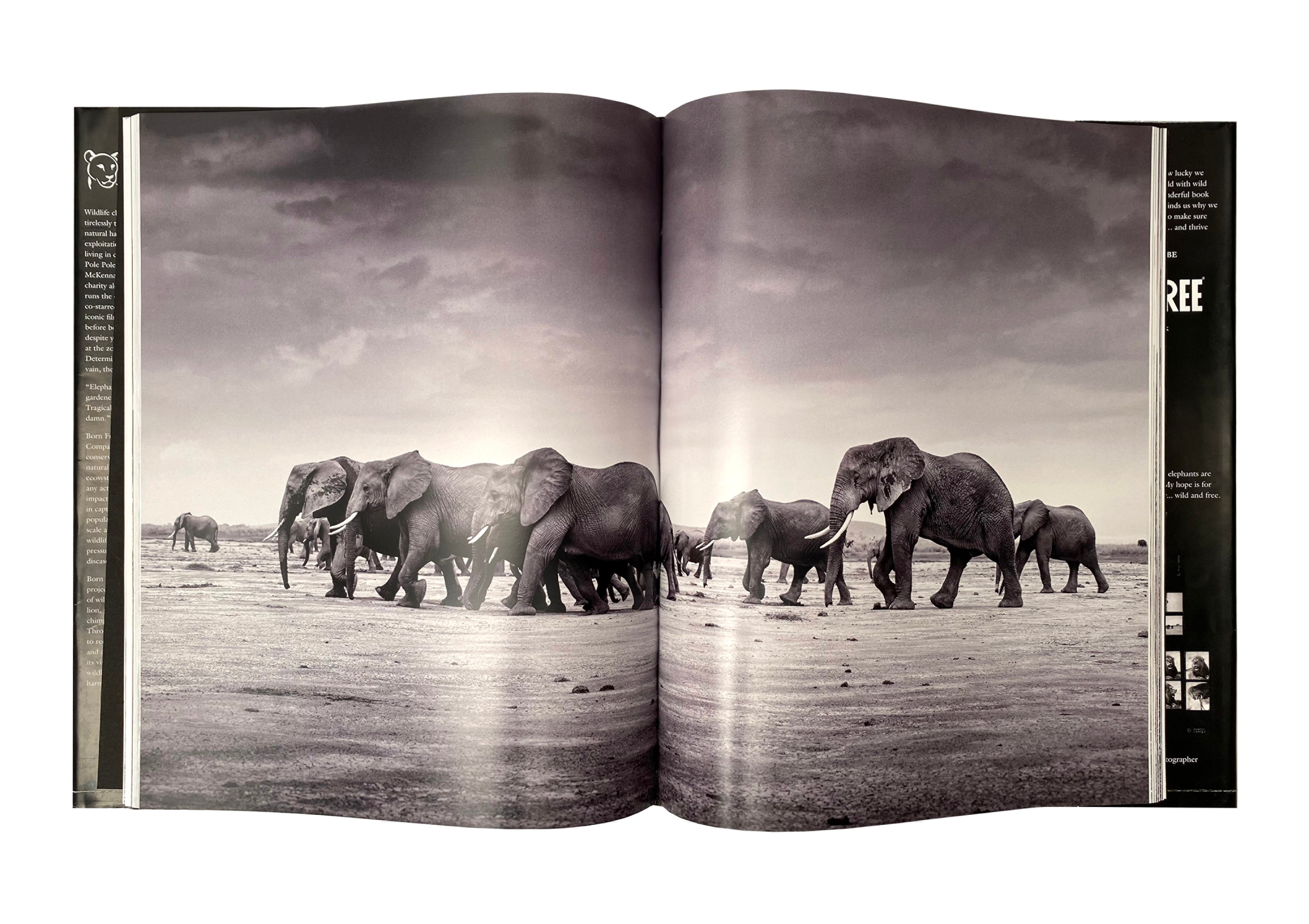 Saving Elephants Luxury Coffee Table Book, makes the perfect gift. And ...