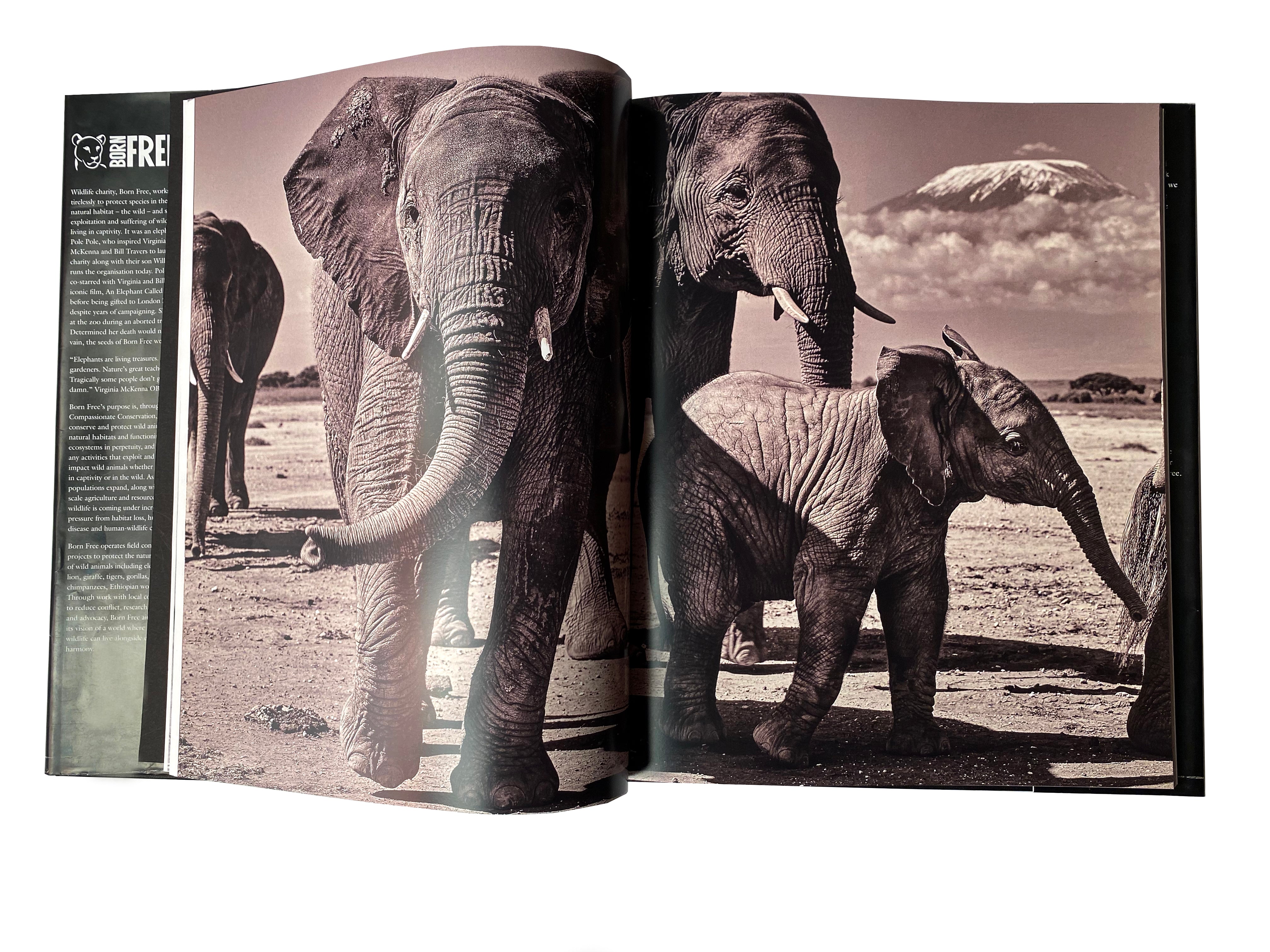 Saving Elephants Luxury Coffee Table Book, makes the perfect gift. And ...