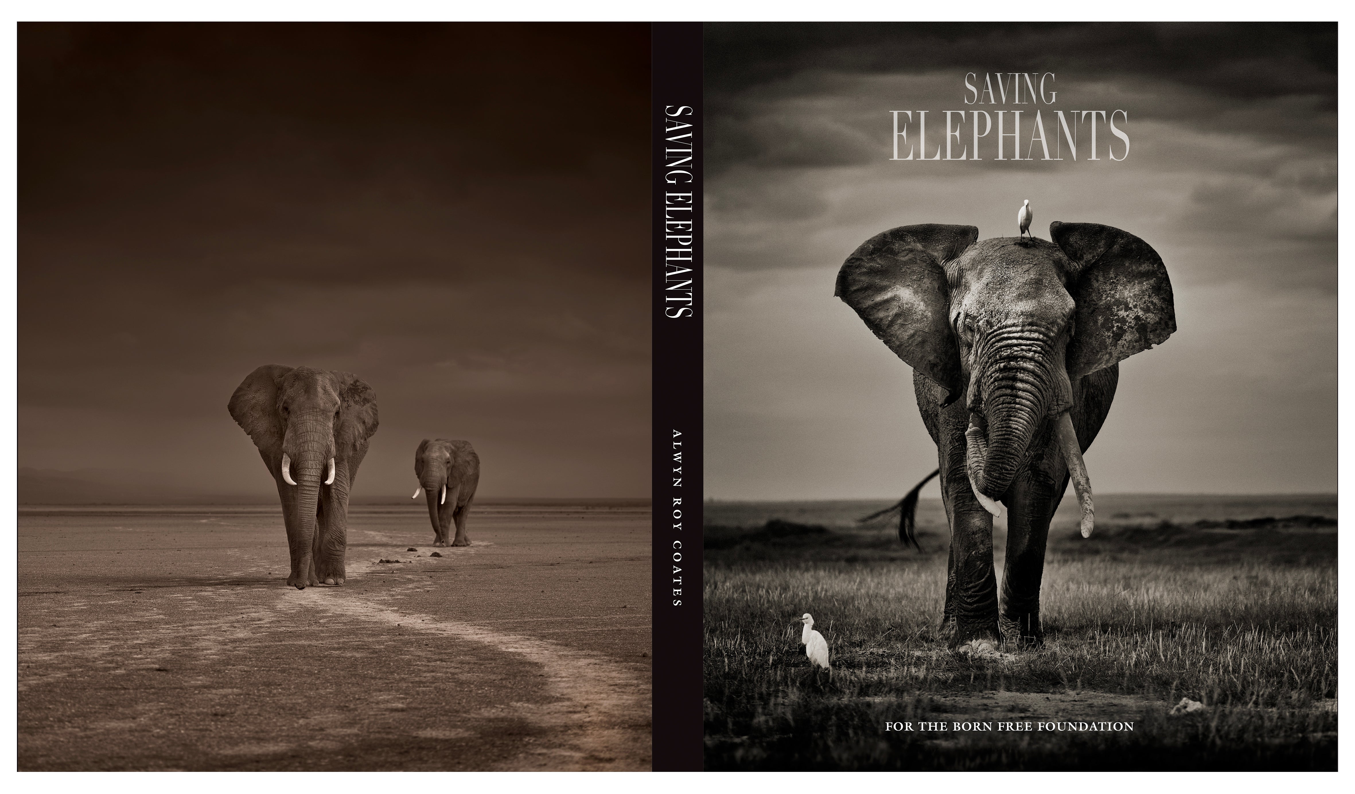 Saving Elephants Luxury Coffee Table Book, makes the perfect gift. And ...